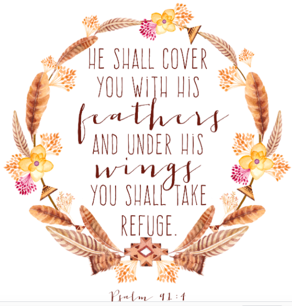 Psalm 91:4-6 — A memory verse challenge – Shadows and Shelters